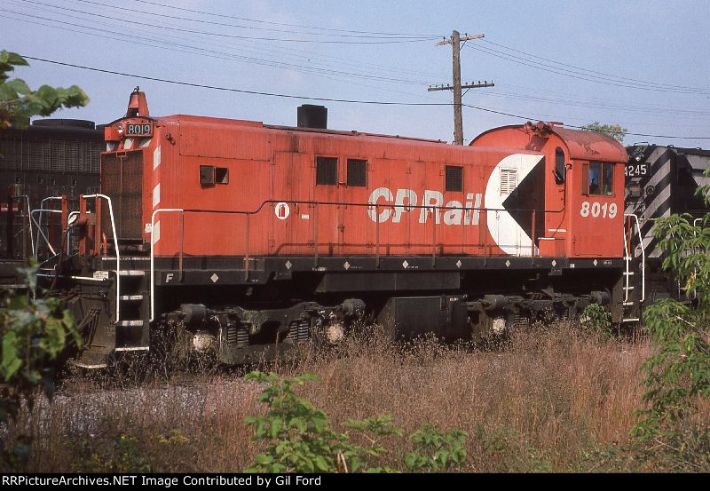 CP 8019(RS-23)